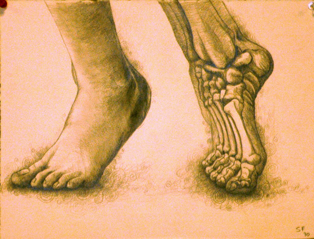 Skeleton Foot Drawing