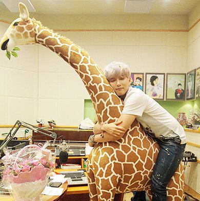Ryeowook Giraffe