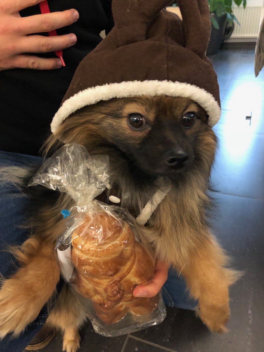 Netstream AG (@netstream) | Twitter