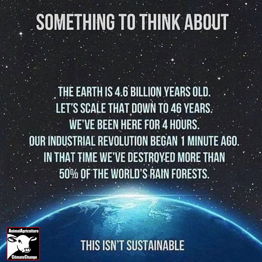 Ali Dibble (@AliDibble) | Twitter