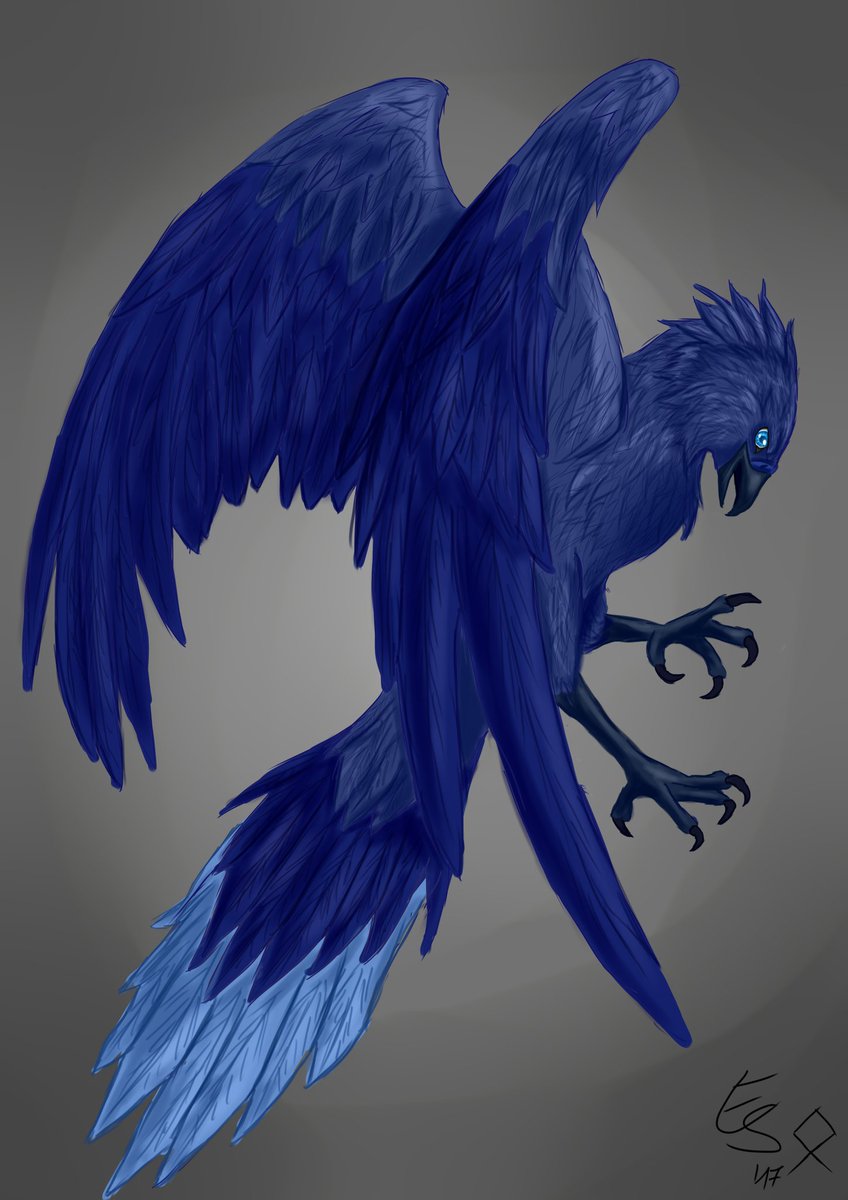 Blue Phoenix Bird Drawing