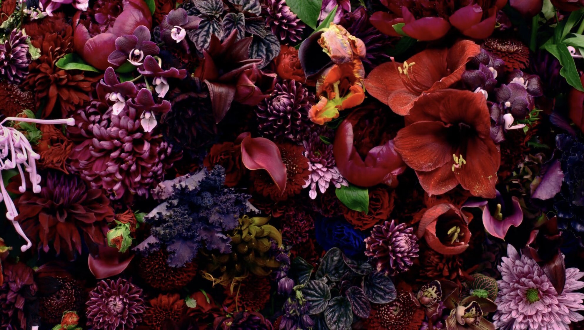 DRAWING AND MANUAL™️ on Twitter: "Recent Work: POLA B.A TVC Creative Director: Morihiro Harano ...