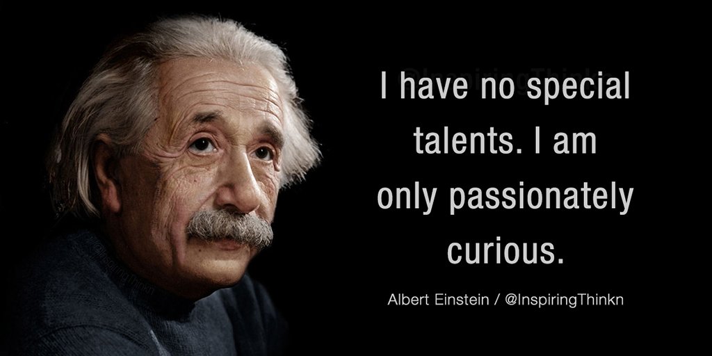 Passionately Curious Einstein