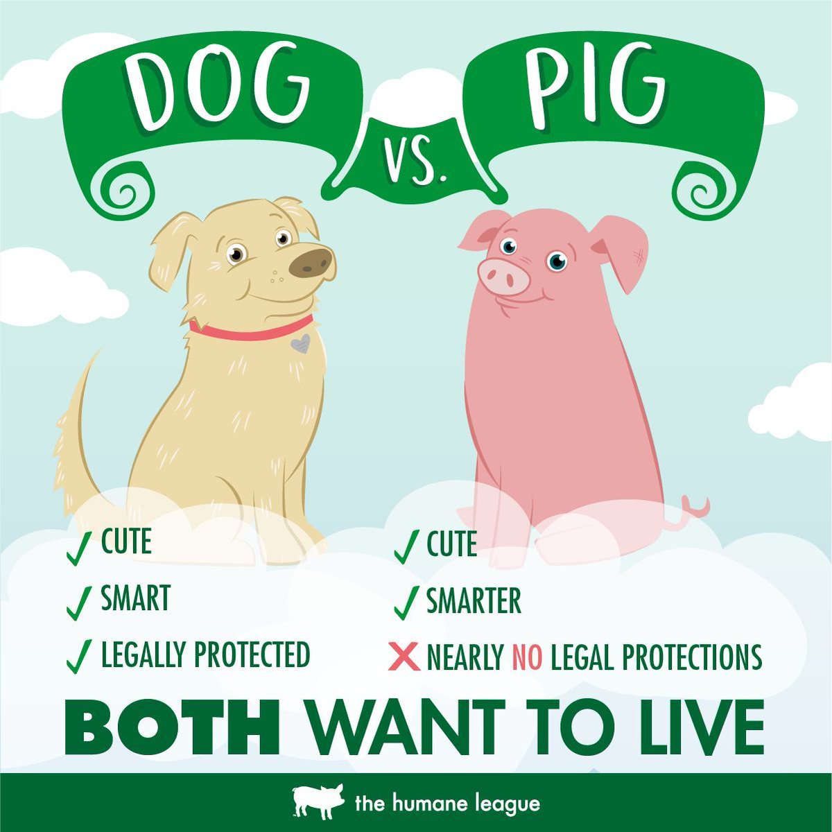 Ali Dibble (@AliDibble) | Twitter