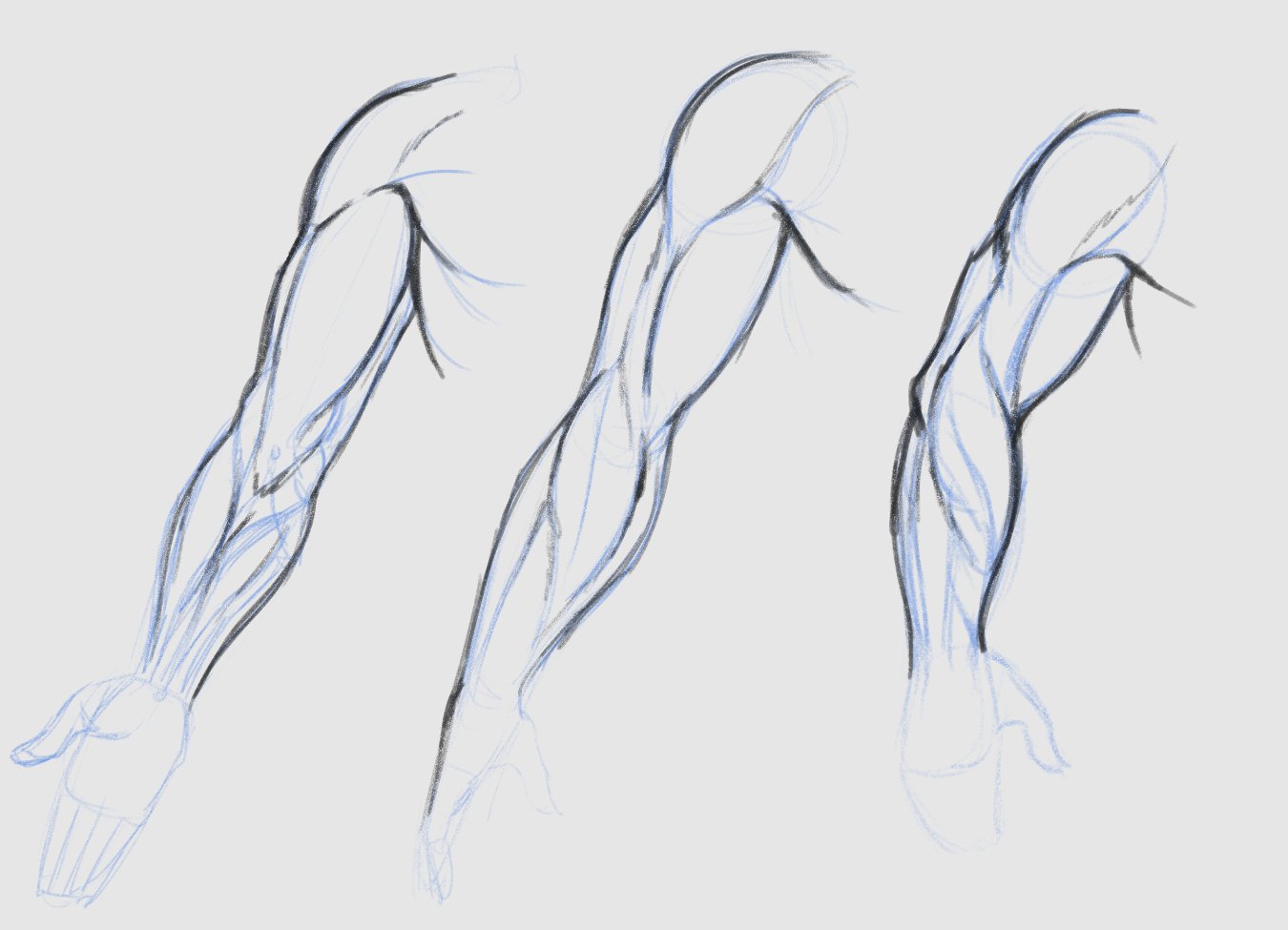 Ecch' n' Skecch (Comms closed) on Twitter: "went off again to find some more ref pics. https://t ...