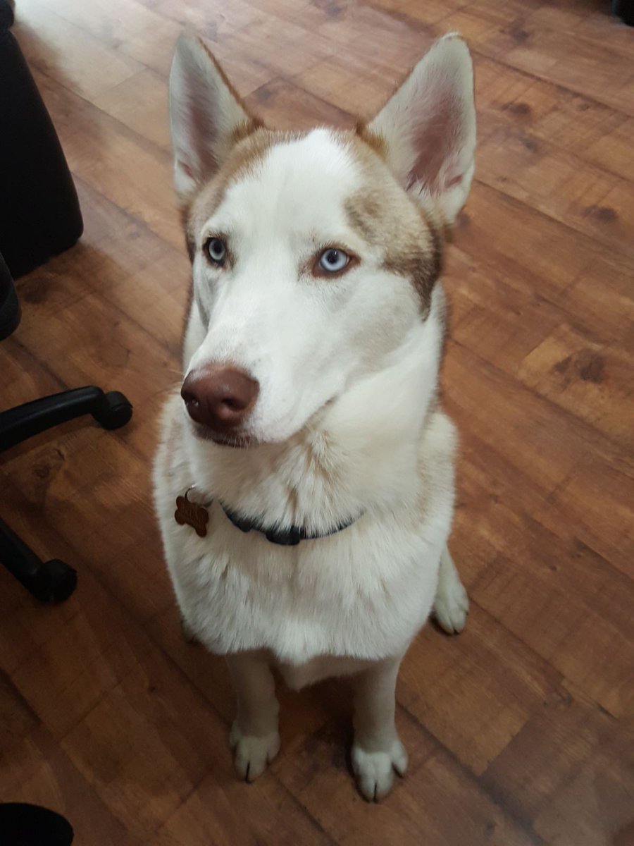 Mitul Savani (@TheMitul2898) | Twitter