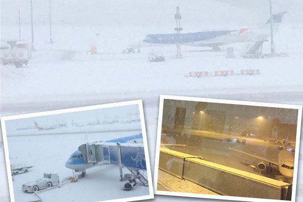 笹山登生 (@keyaki1117) | Twitter