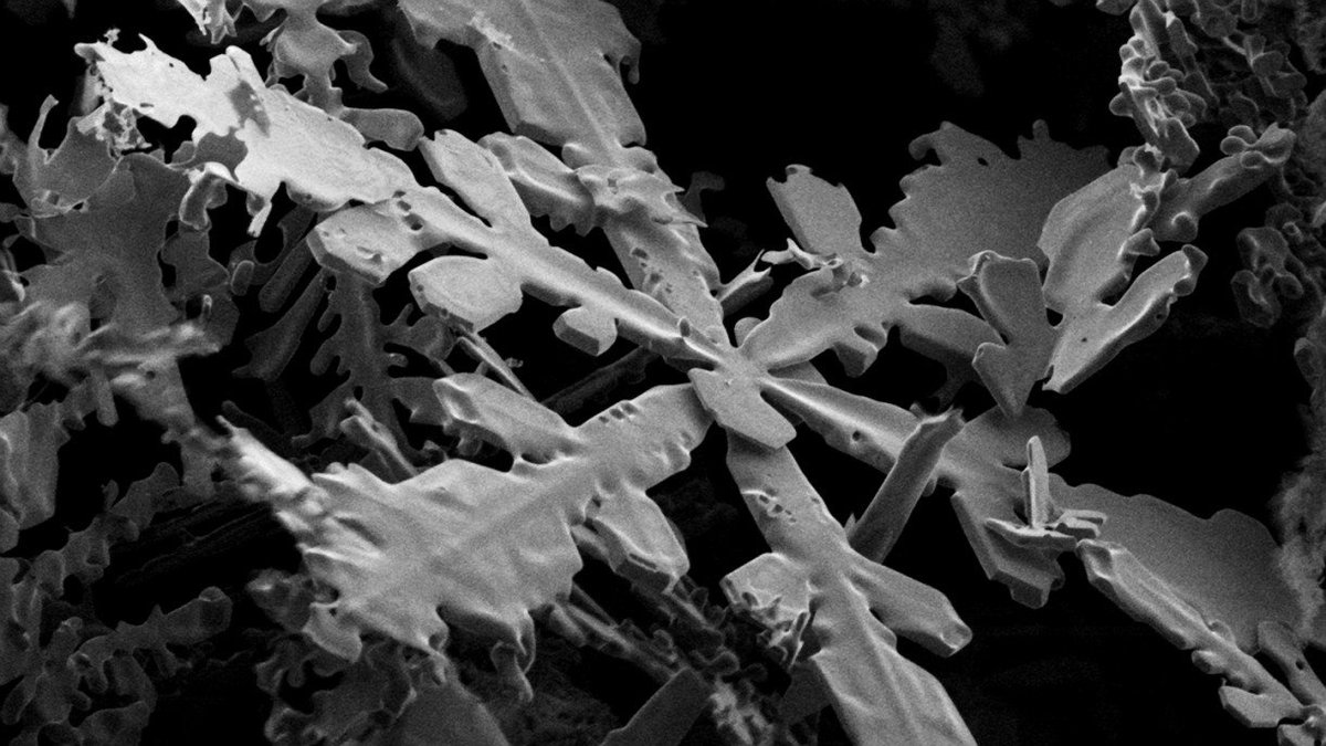 Scanning Electron Microscope Snowflake