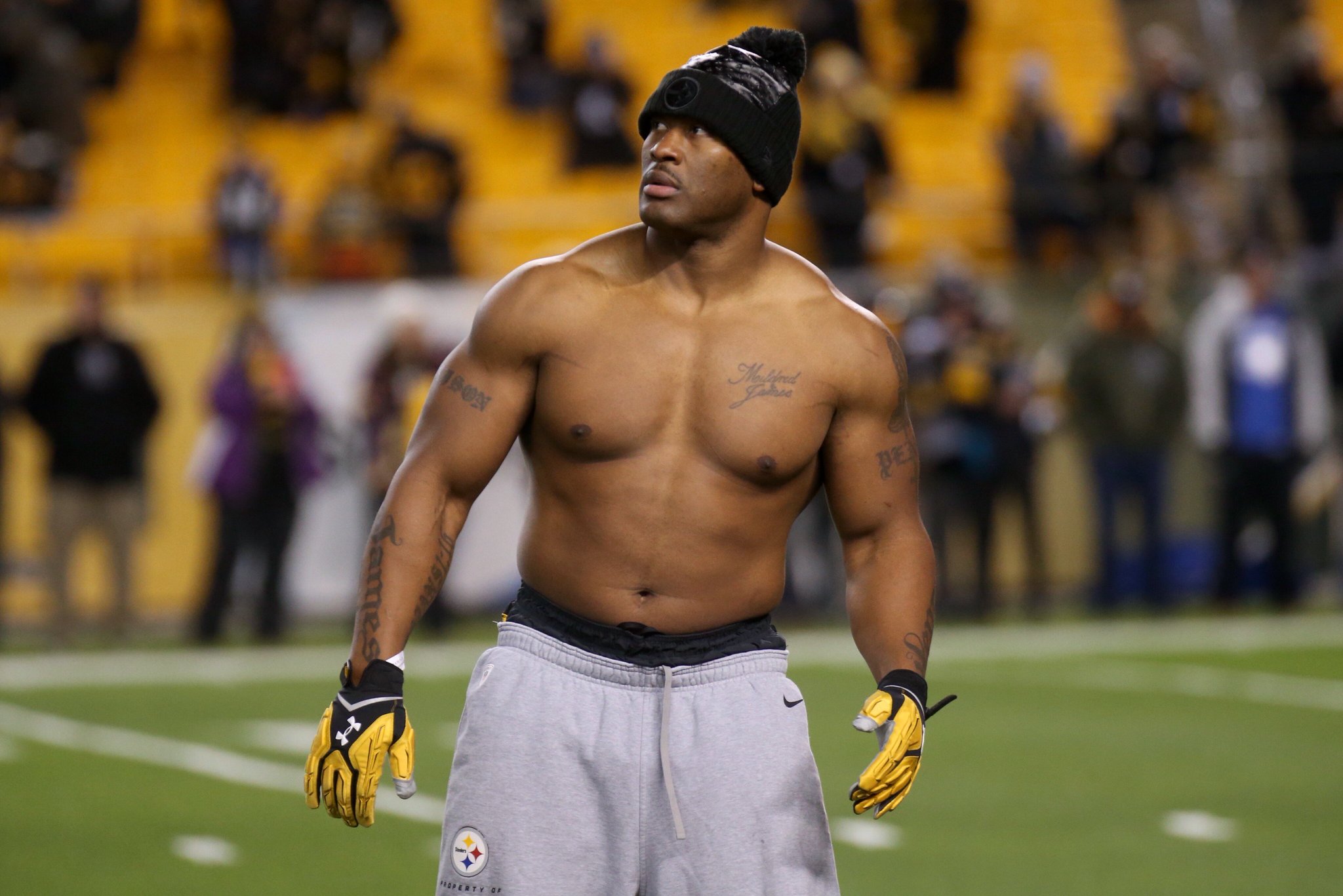 James Harrison Muscles