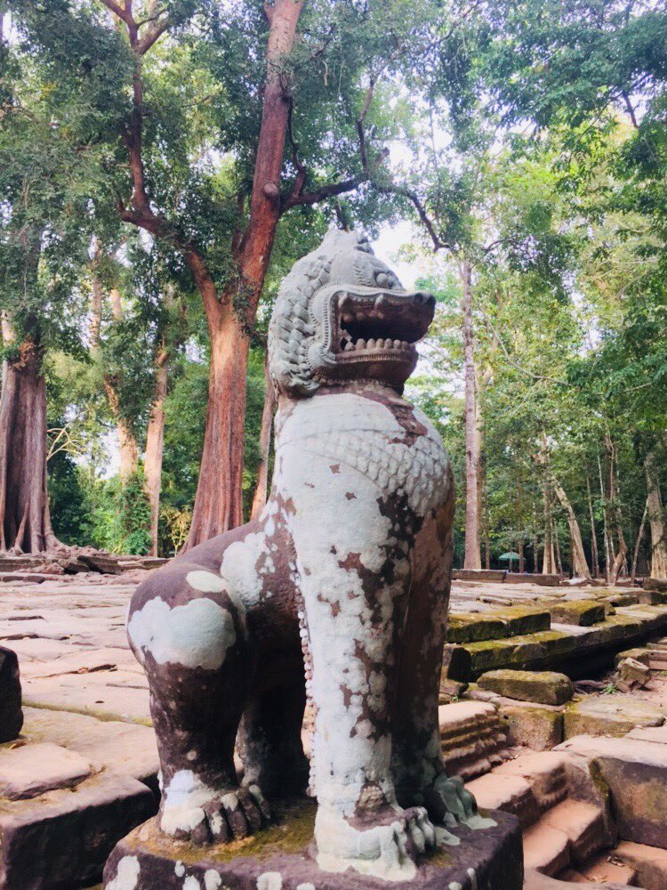 My Name Is Voeun Vy (@VyName) | Twitter