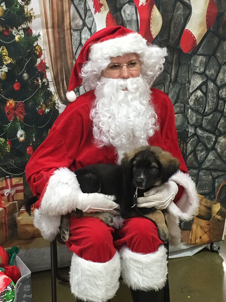 Jordan Creech (@JordanCreech1) | Twitter