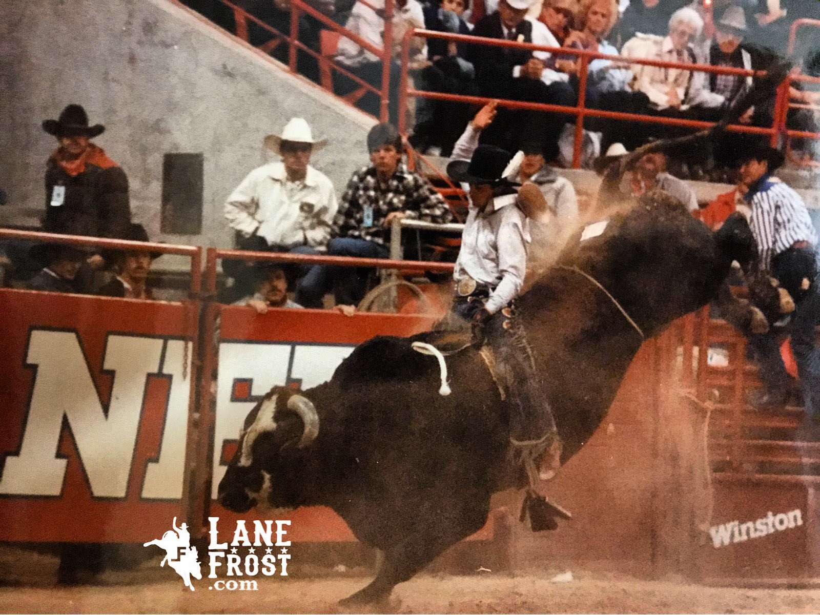Lane Frost Wallpaper Lane Frost Signature Poster | #894674511