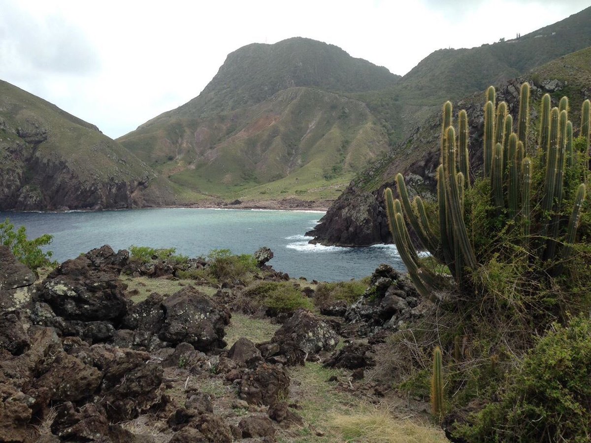 Teresa Landers (@teresa_landers) | Twitter