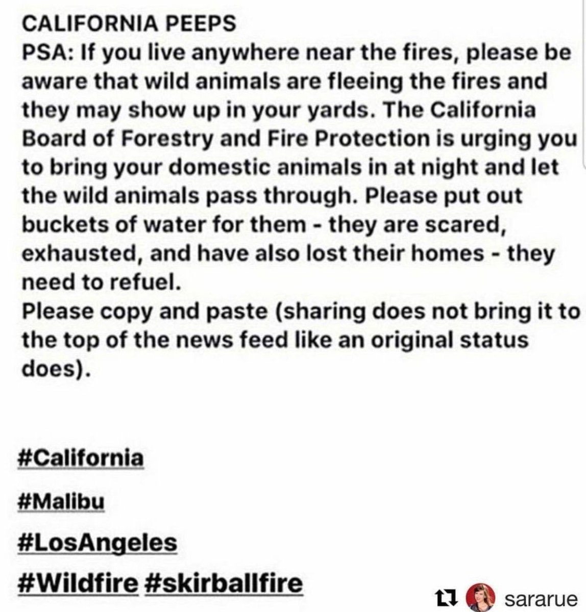 SignatorySea (@SignatorySea) | Twitter