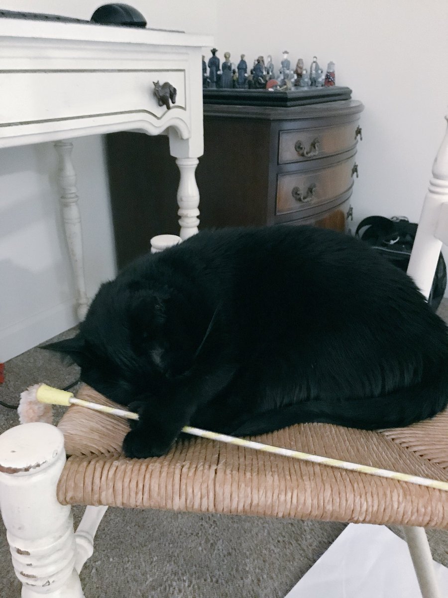 Adam Stringham (@Stringhama) | Twitter