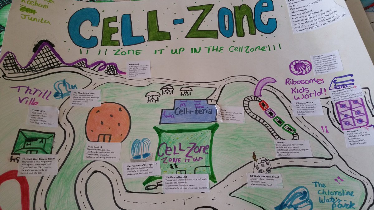 Cell Analogy Amusement Park