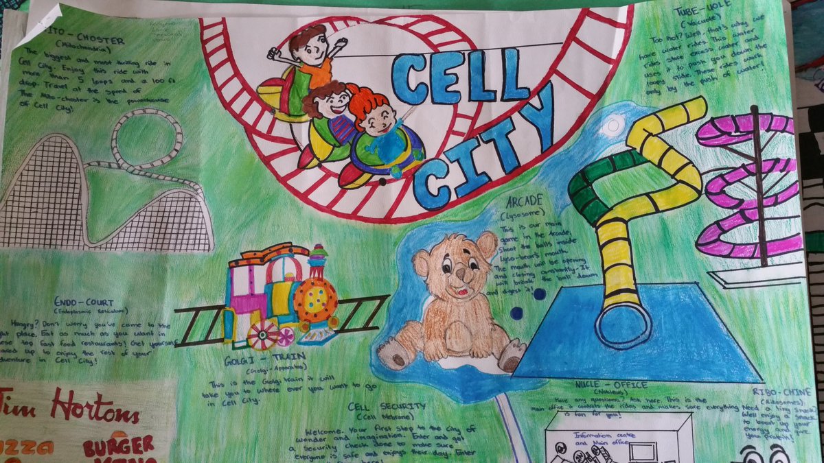 Cell Analogy Amusement Park