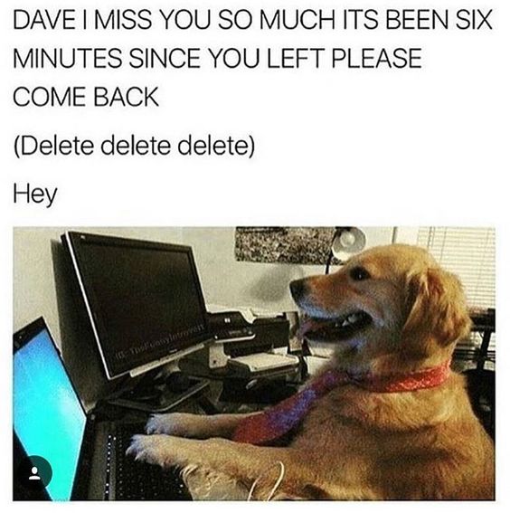 Needy Dog Meme Dog Needy GIFs Find & Share On GIPHY