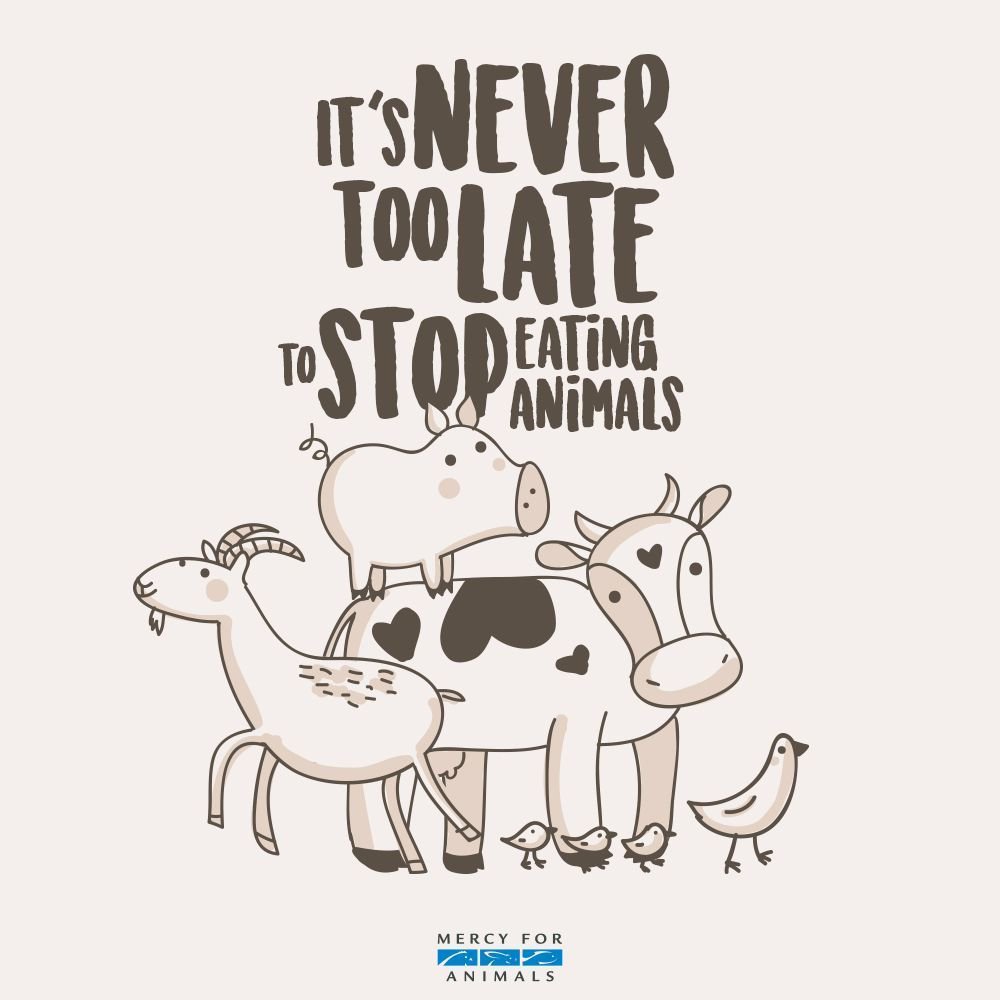 Animals Saying Stop It