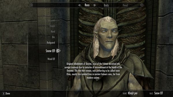Snow Elf In Skyrim