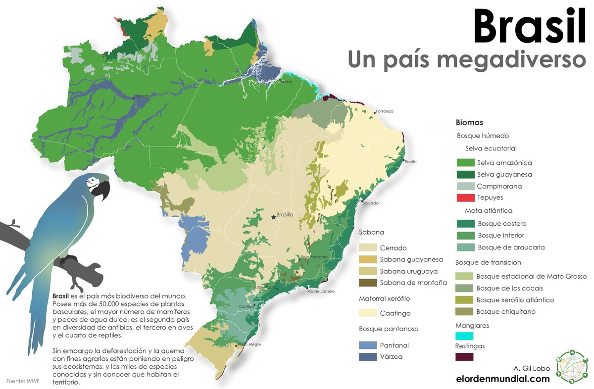 Brasil es el país con mayor biodiversidad de flora y fauna del planeta ...