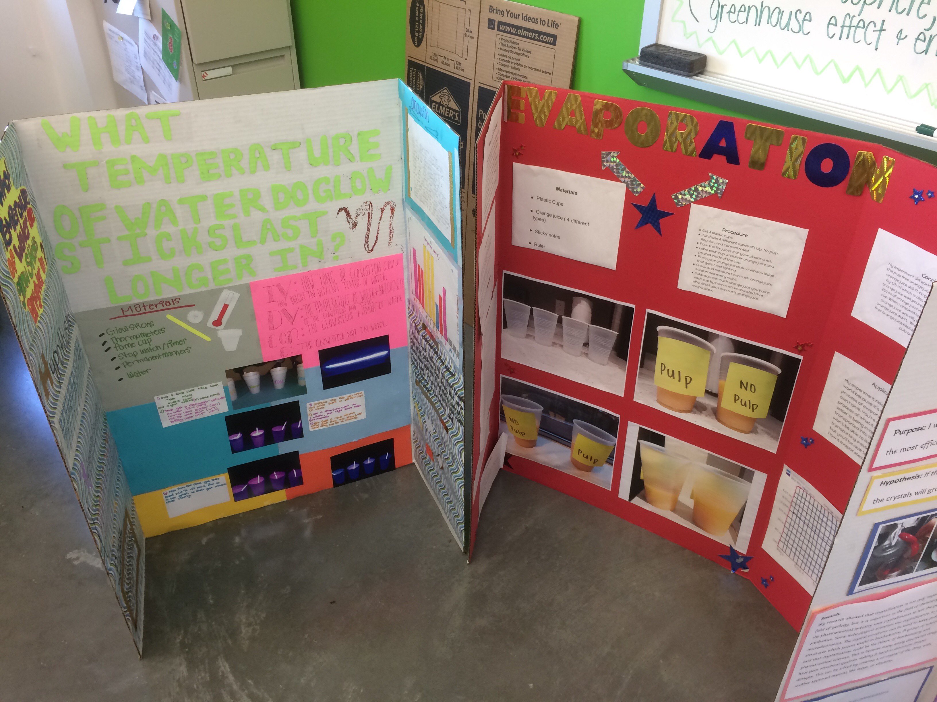 7th Grade Life Science Projects