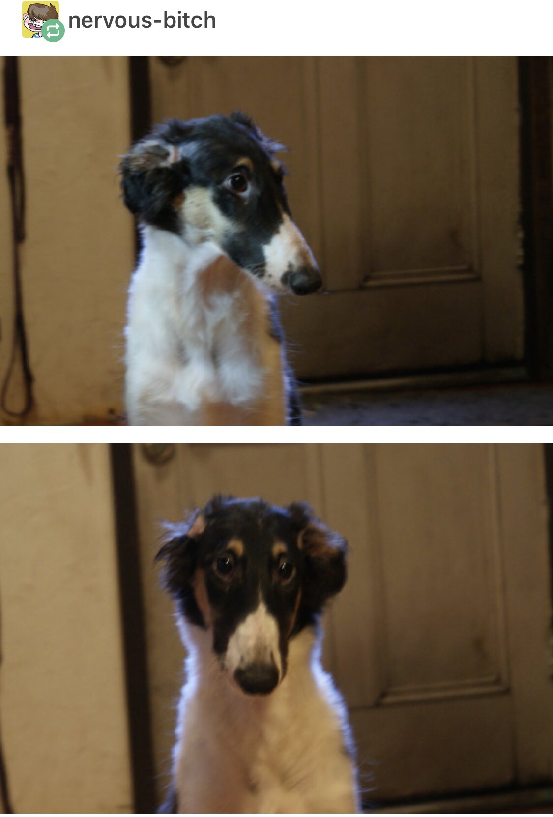 memeindex on Twitter: "15. LET HIM SPEAK…