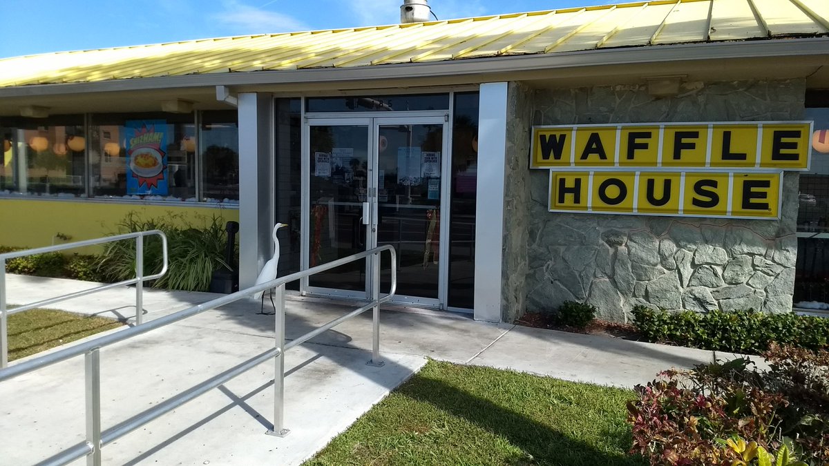 Devon DeRaad (@Dev_Der) | Twitter