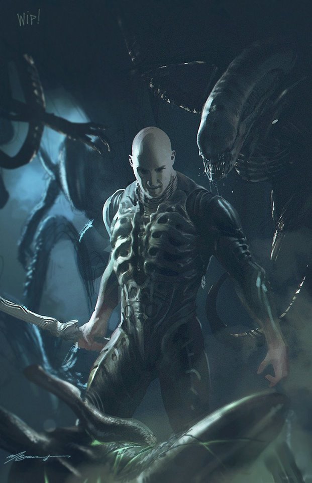 Alien Vs Predator Fan Art Lindauae
