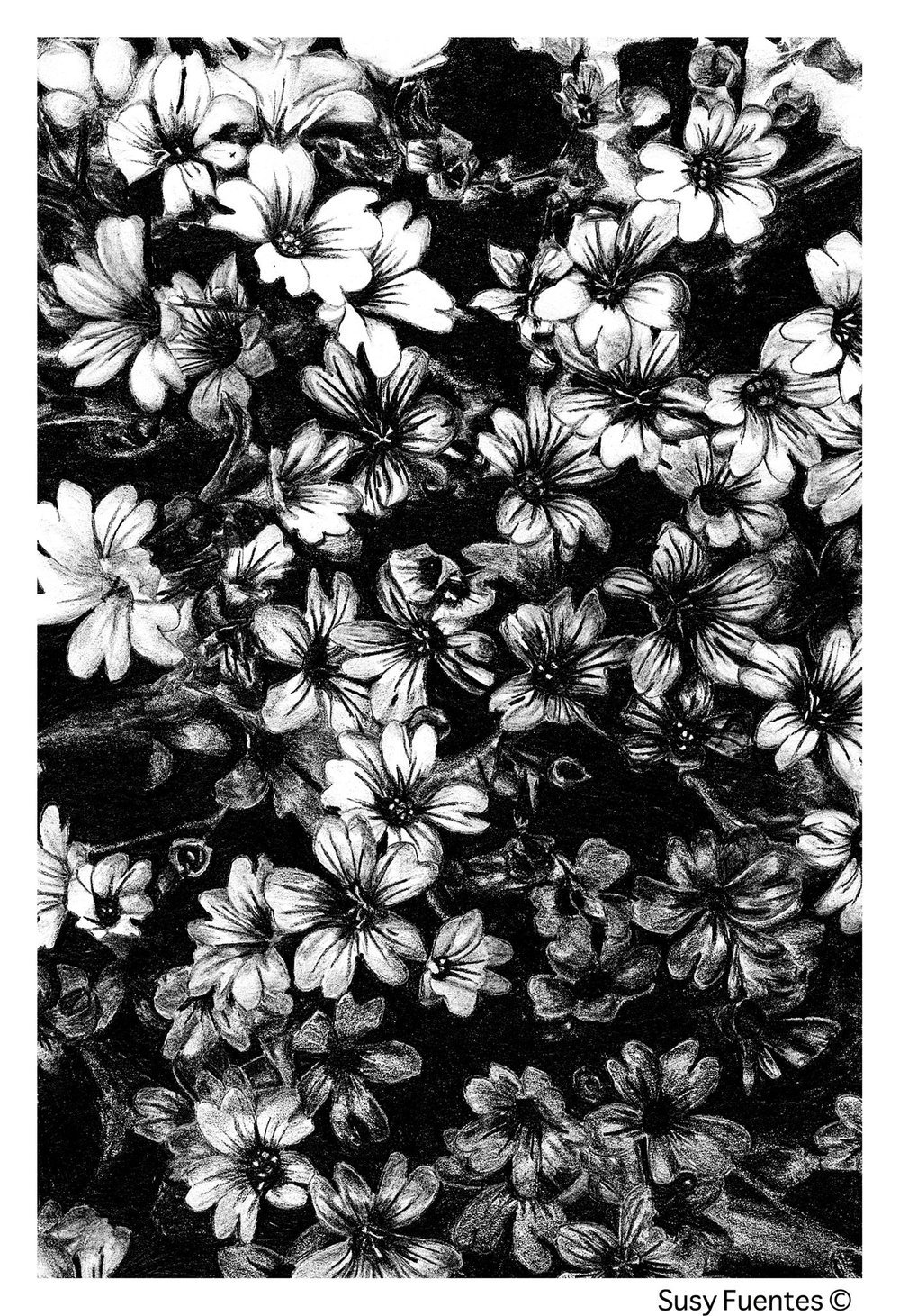 Flower Pattern Drawing Tumblr