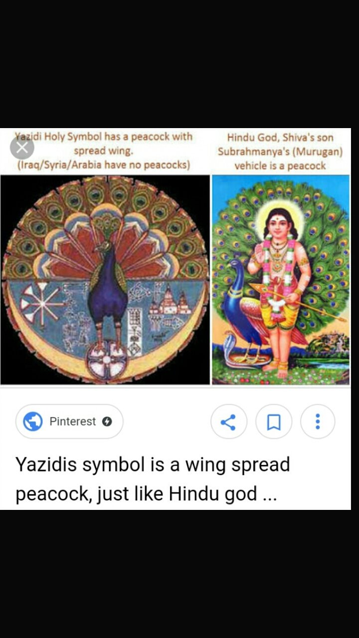 Yazidi Symbol