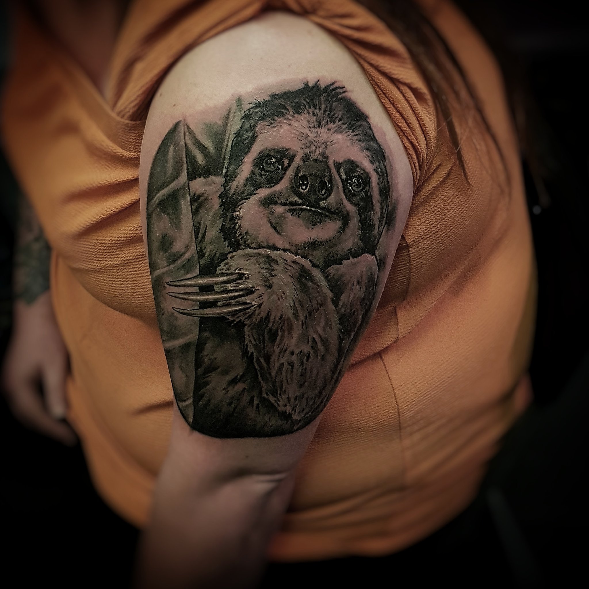 Sloth Animal Tattoo