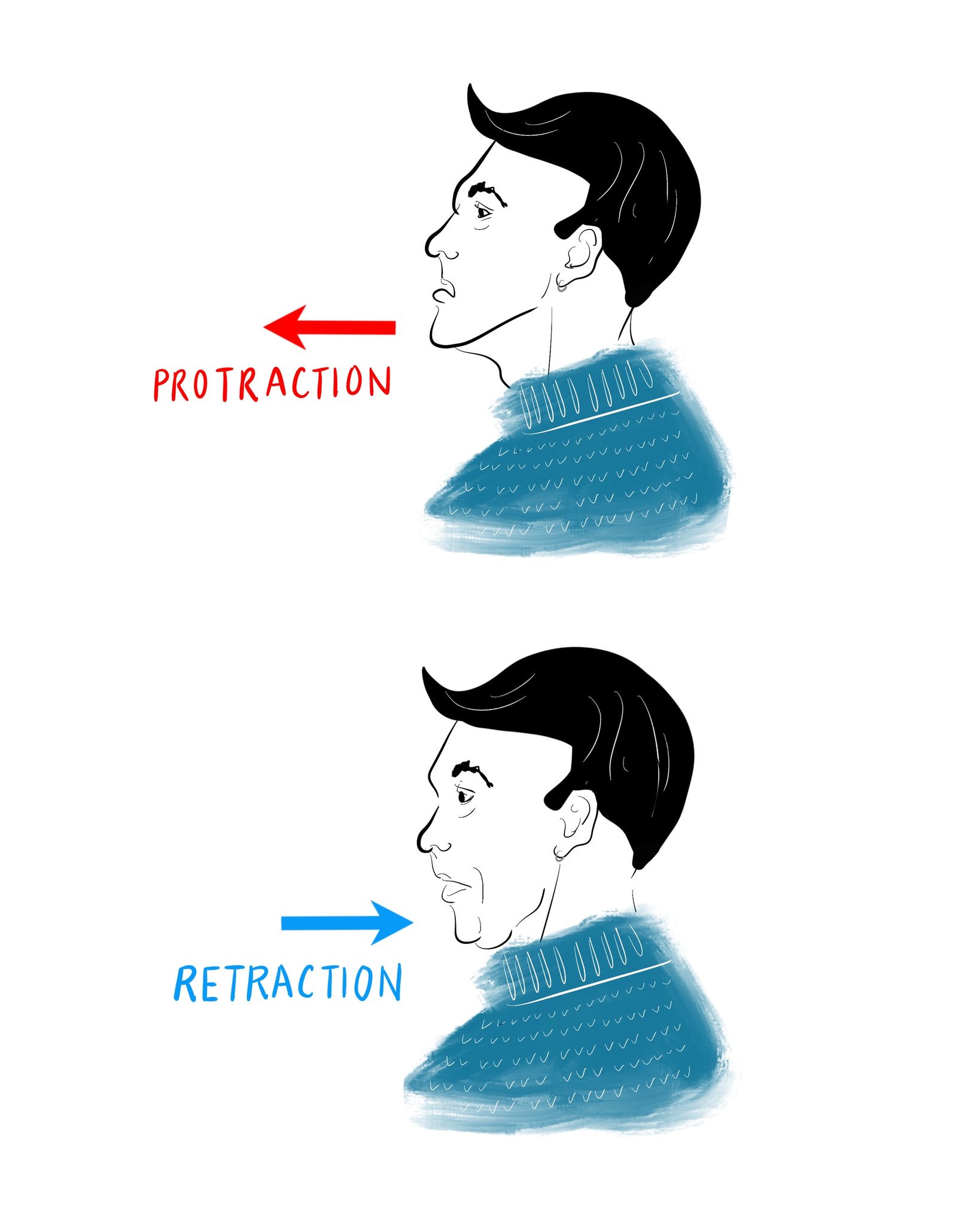 Protraction And Retraction