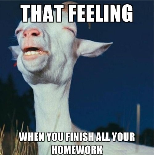 College Homework Meme