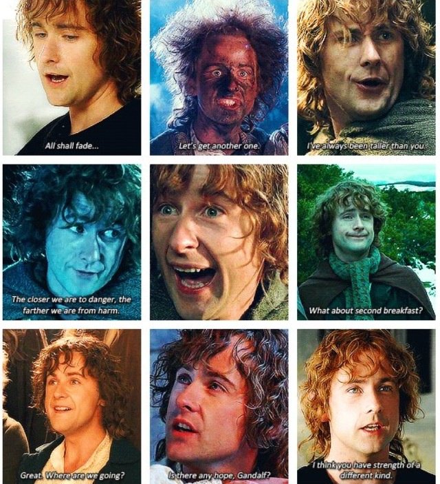 Pippin Lord Of The Rings Quotes