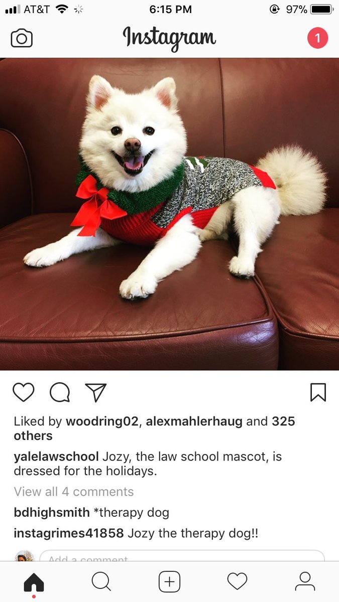 Yale Law School Mascot