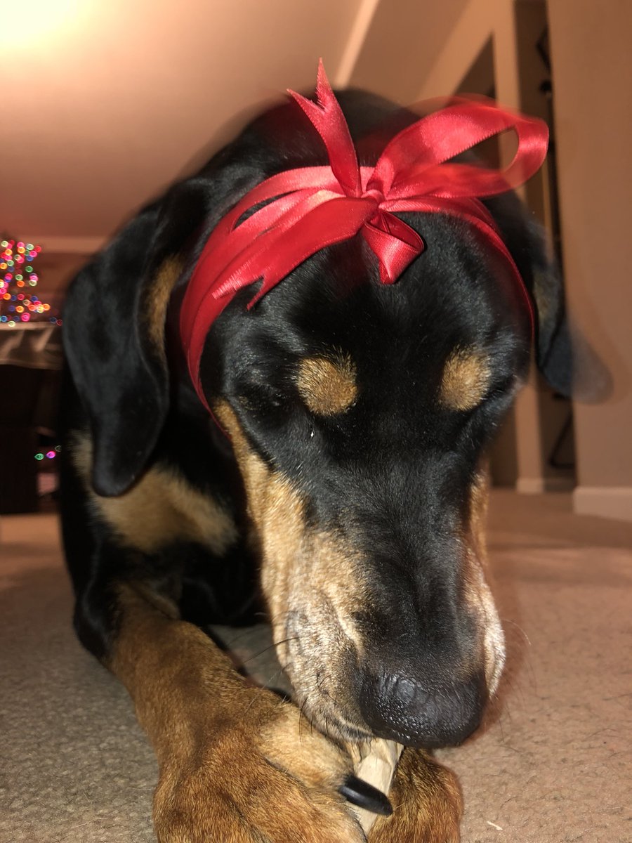 Hannah Banana 🍌 (@hans_kimes) | Twitter