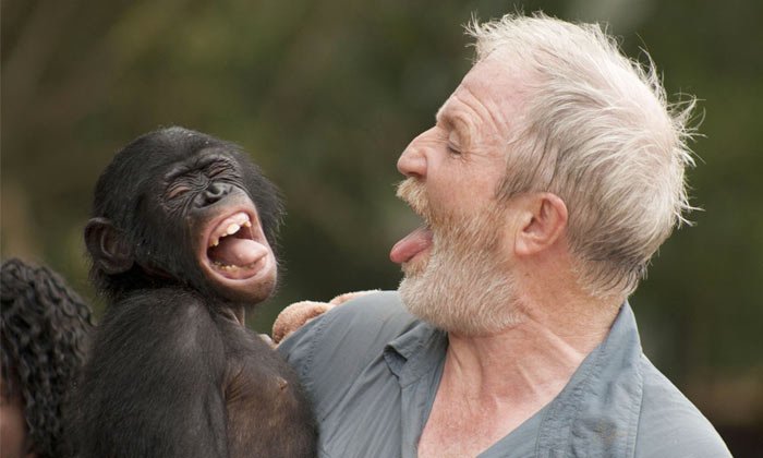 Imitation Behaviour In Animals