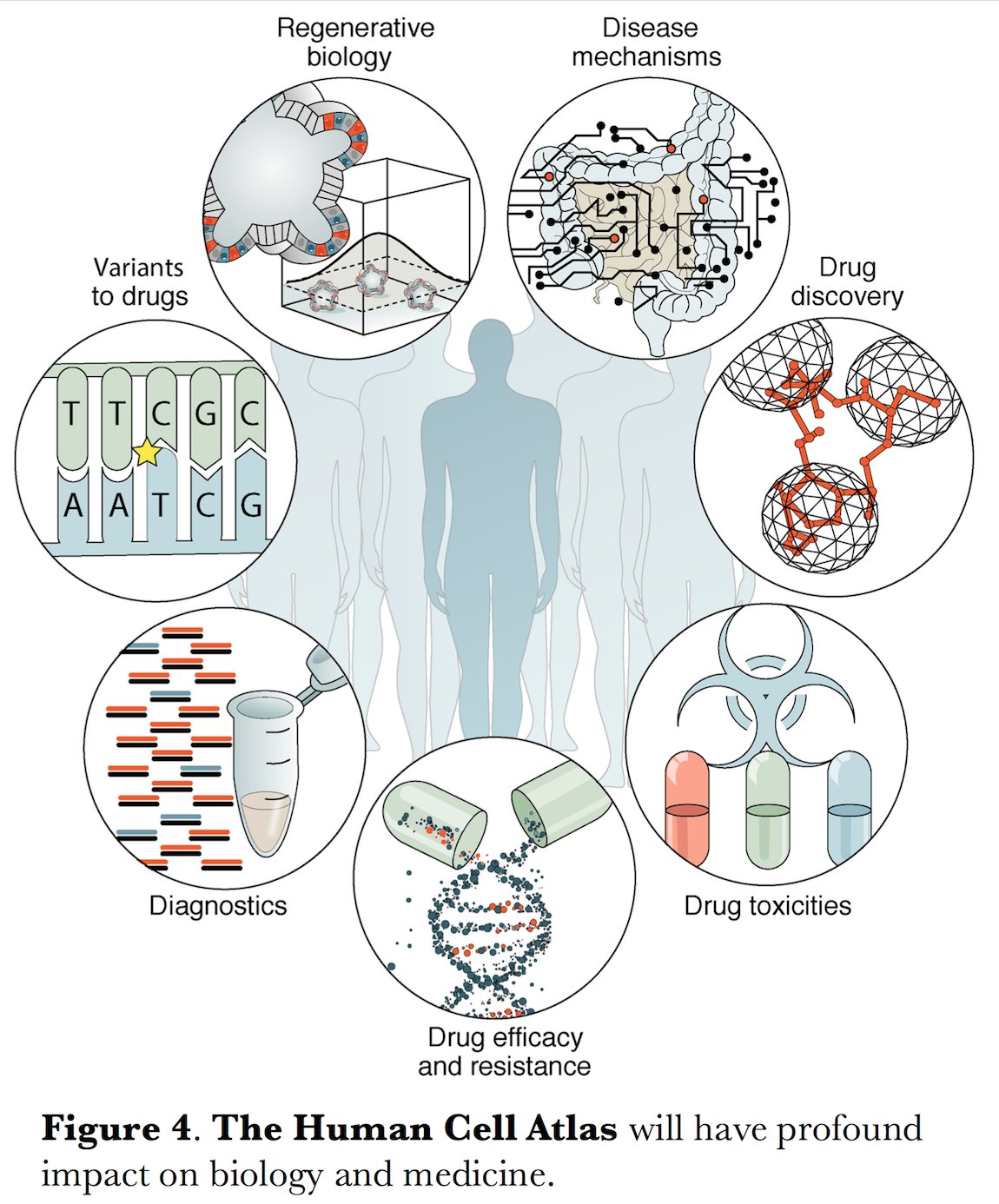 Human Health And Diseases Project