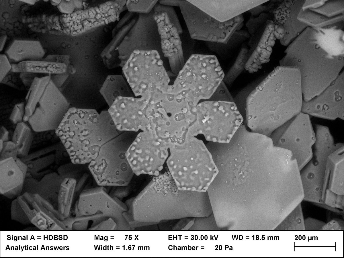 Scanning Electron Microscope Snowflake