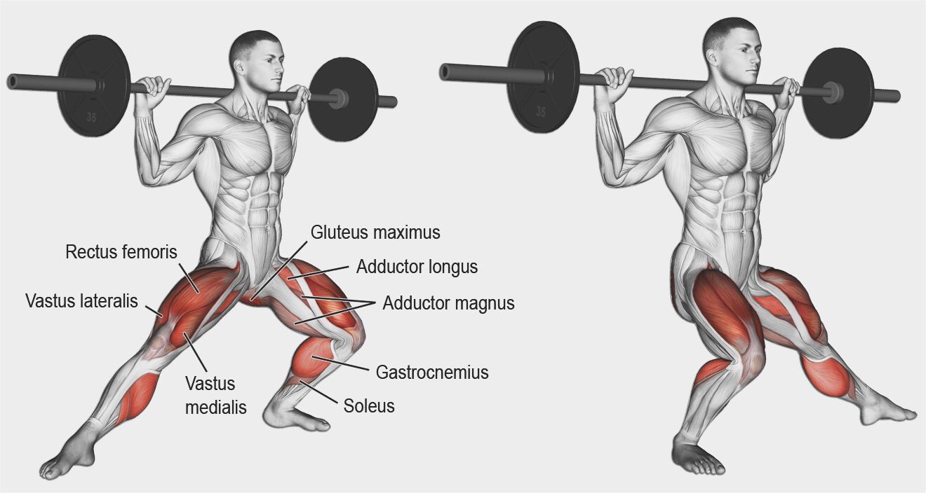 Dumbbell Lunges Muscles Worked