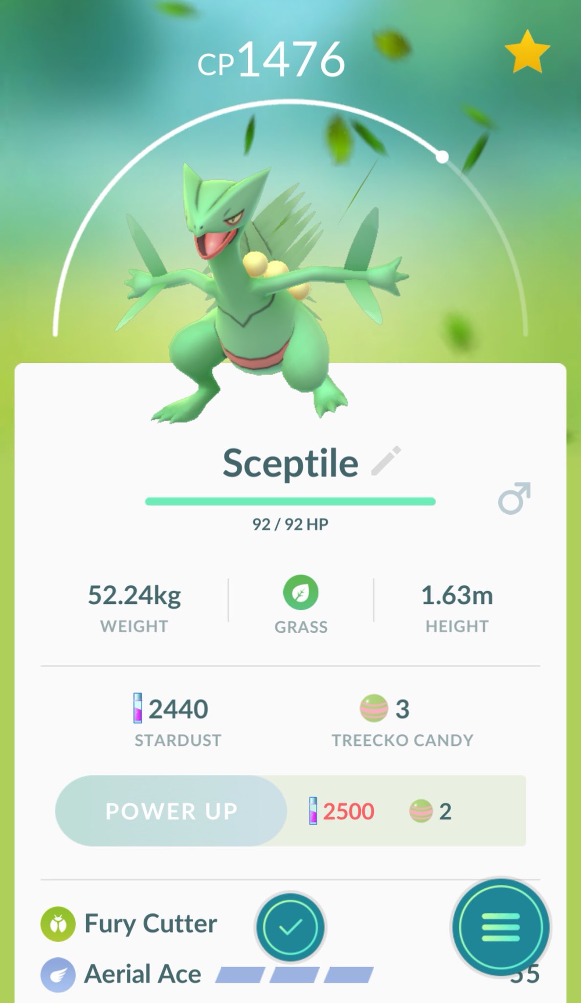 Pokemon Grovyle Evolution