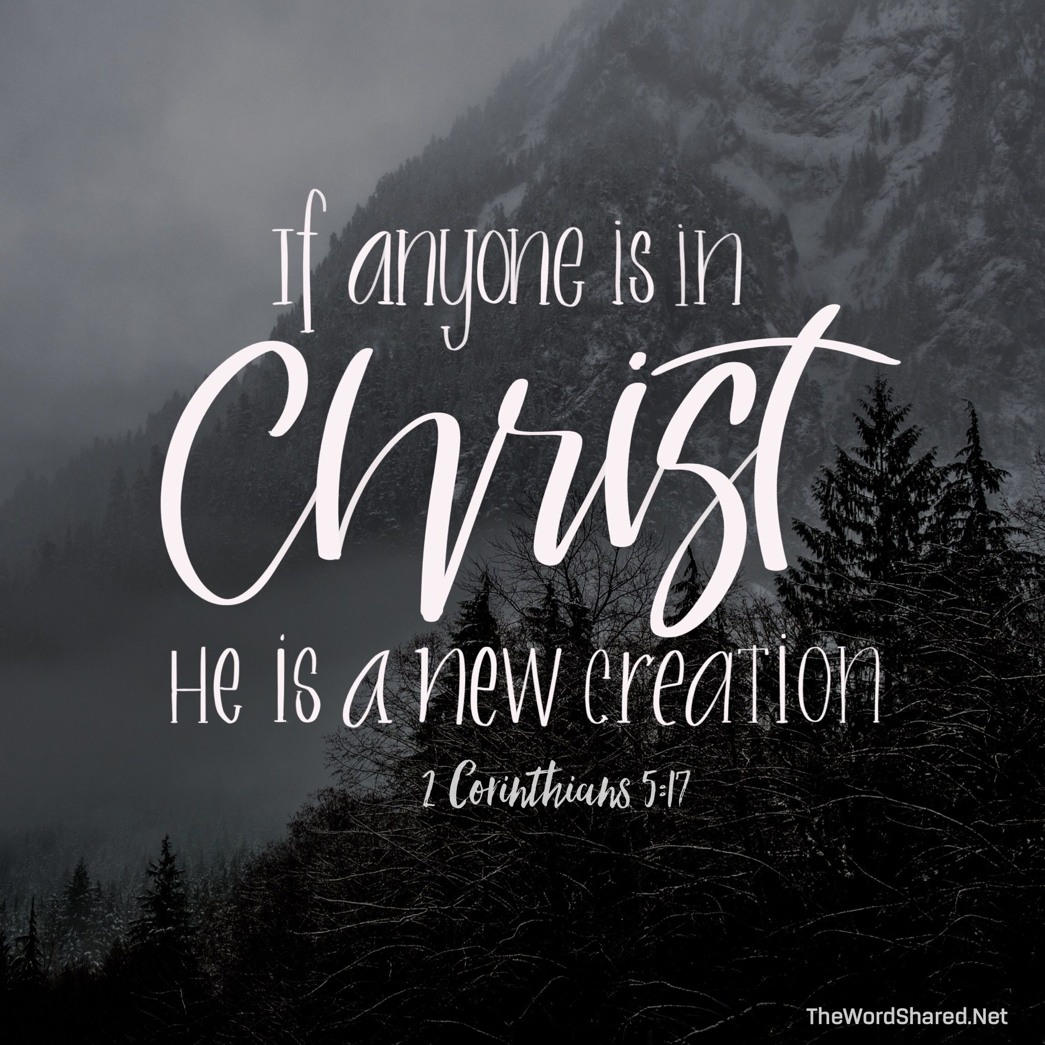 New In Christ Scripture