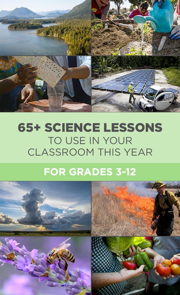 WeAreTeachers on Twitter: "I am absolutely bookmarking this page for ...