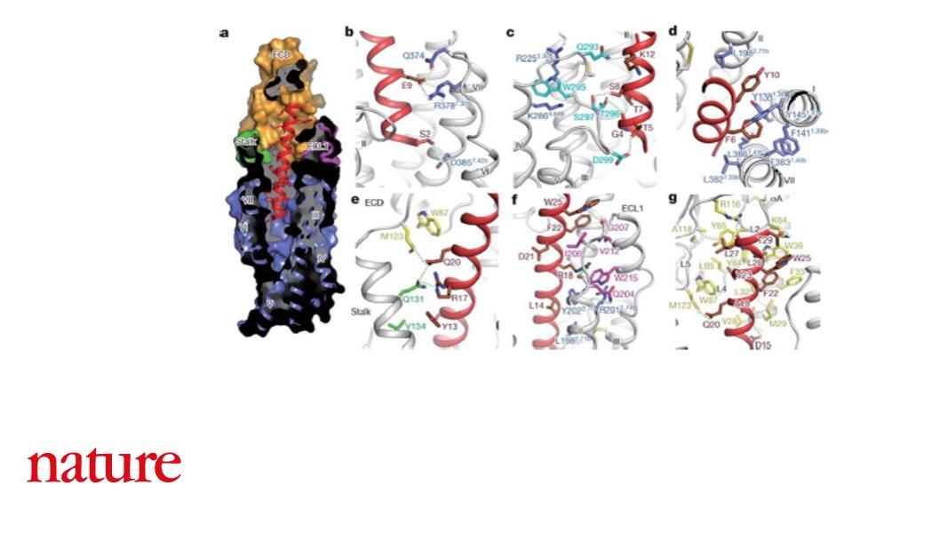 Nature On Twitter The Crystal Structure Of The Full Length Glucagon