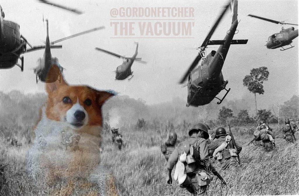Dog Helicopter Memes