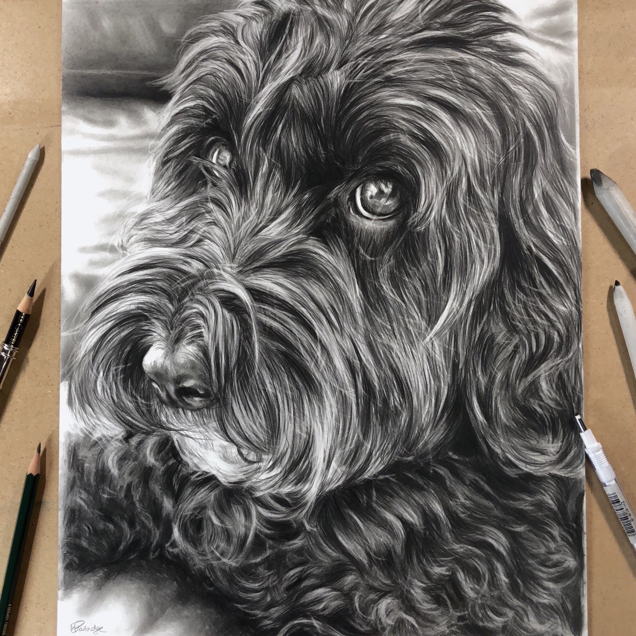 How To Draw A Realistic Dog Step By Step For Beginners
