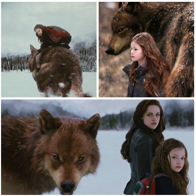 Jacob Wolf And Renesmee