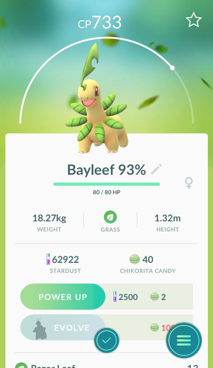 Pokemon Chikorita Evolutions