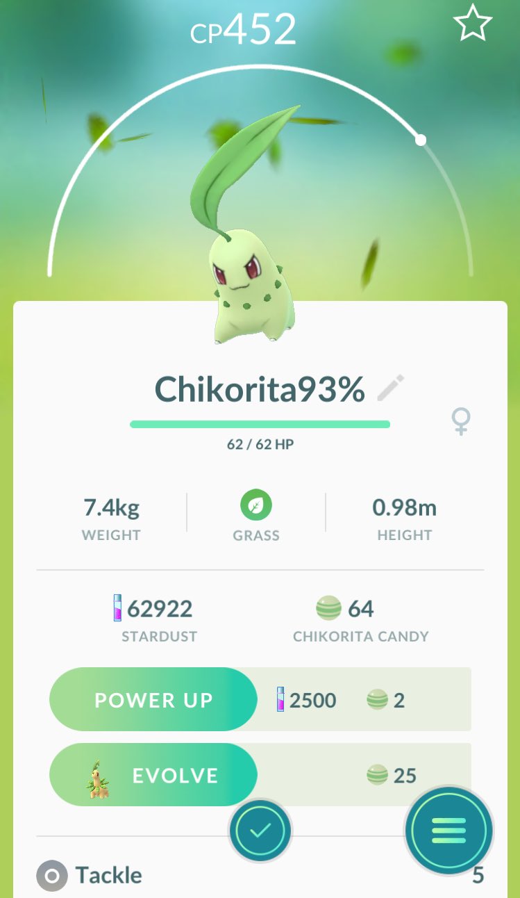 Shiny Chikorita Evolutions